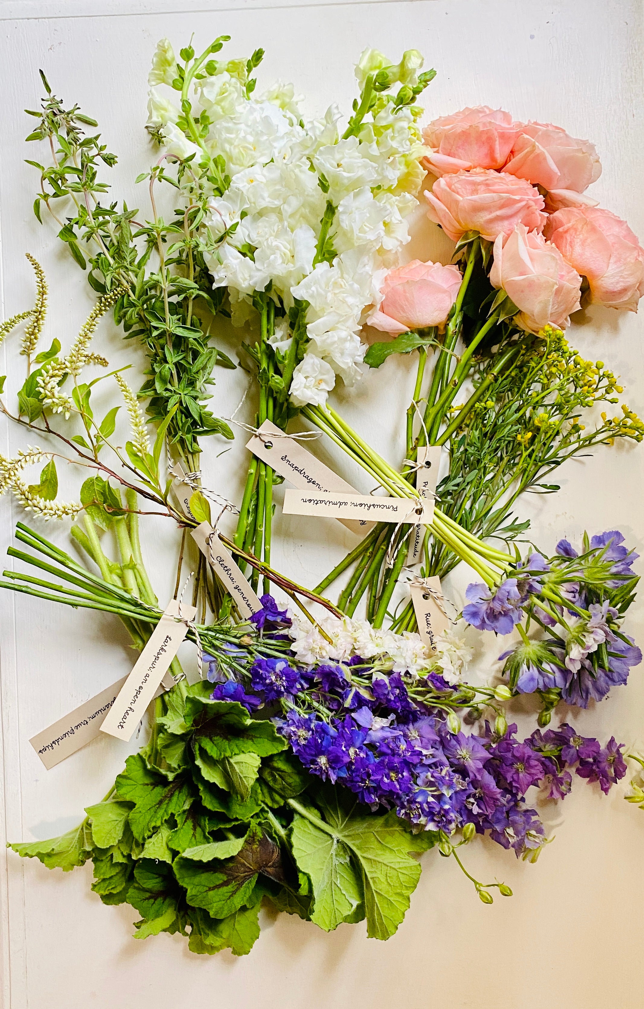 Posy Kits--the ultimate DIY Floral Box at 15% off – Teresa Sabankaya
